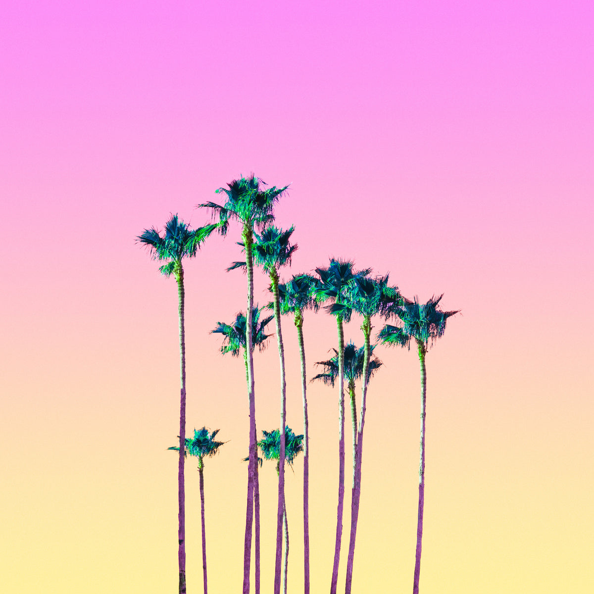 Los Angeles – Matt Crump