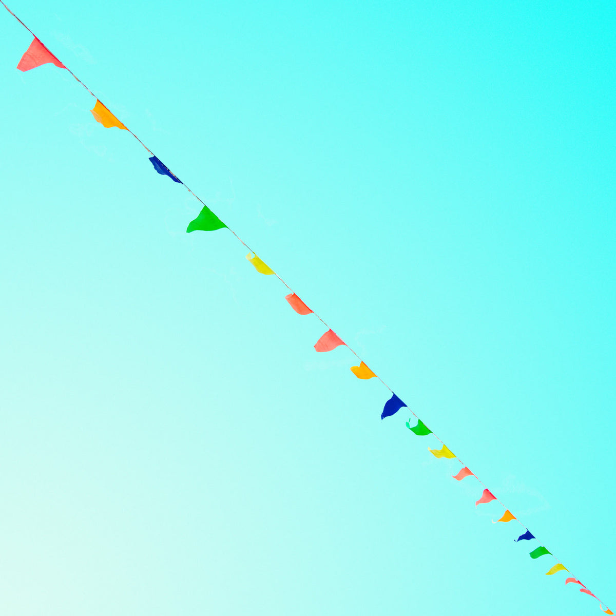 Bunting – Matt Crump