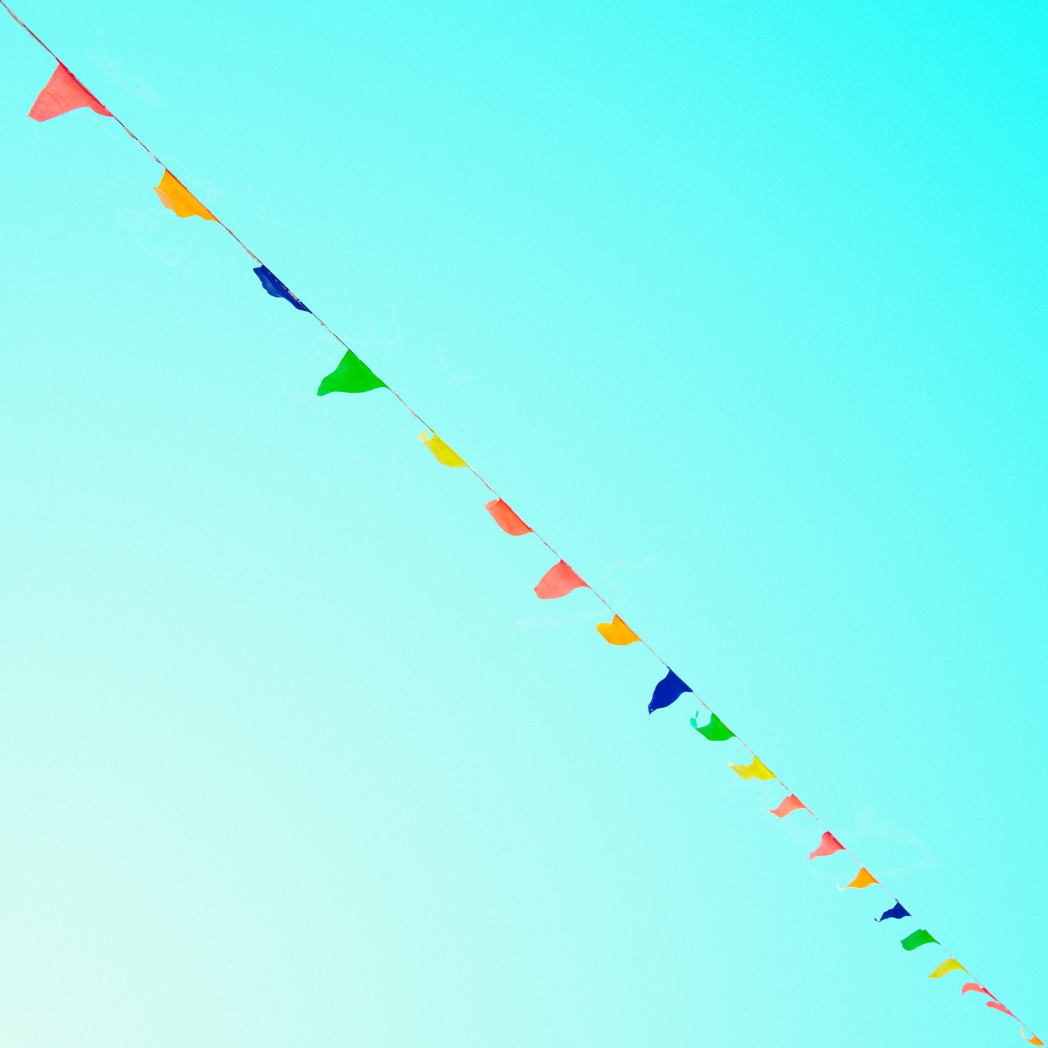 Bunting – Matt Crump