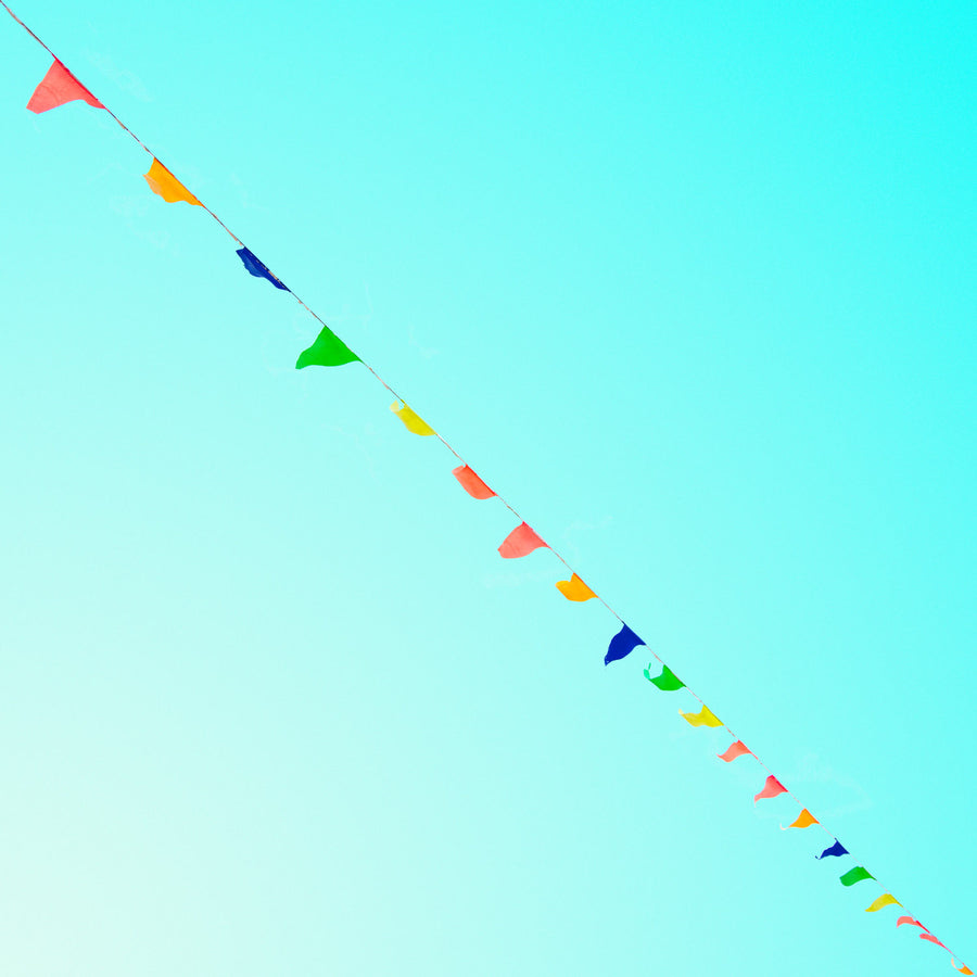 Bunting – Matt Crump