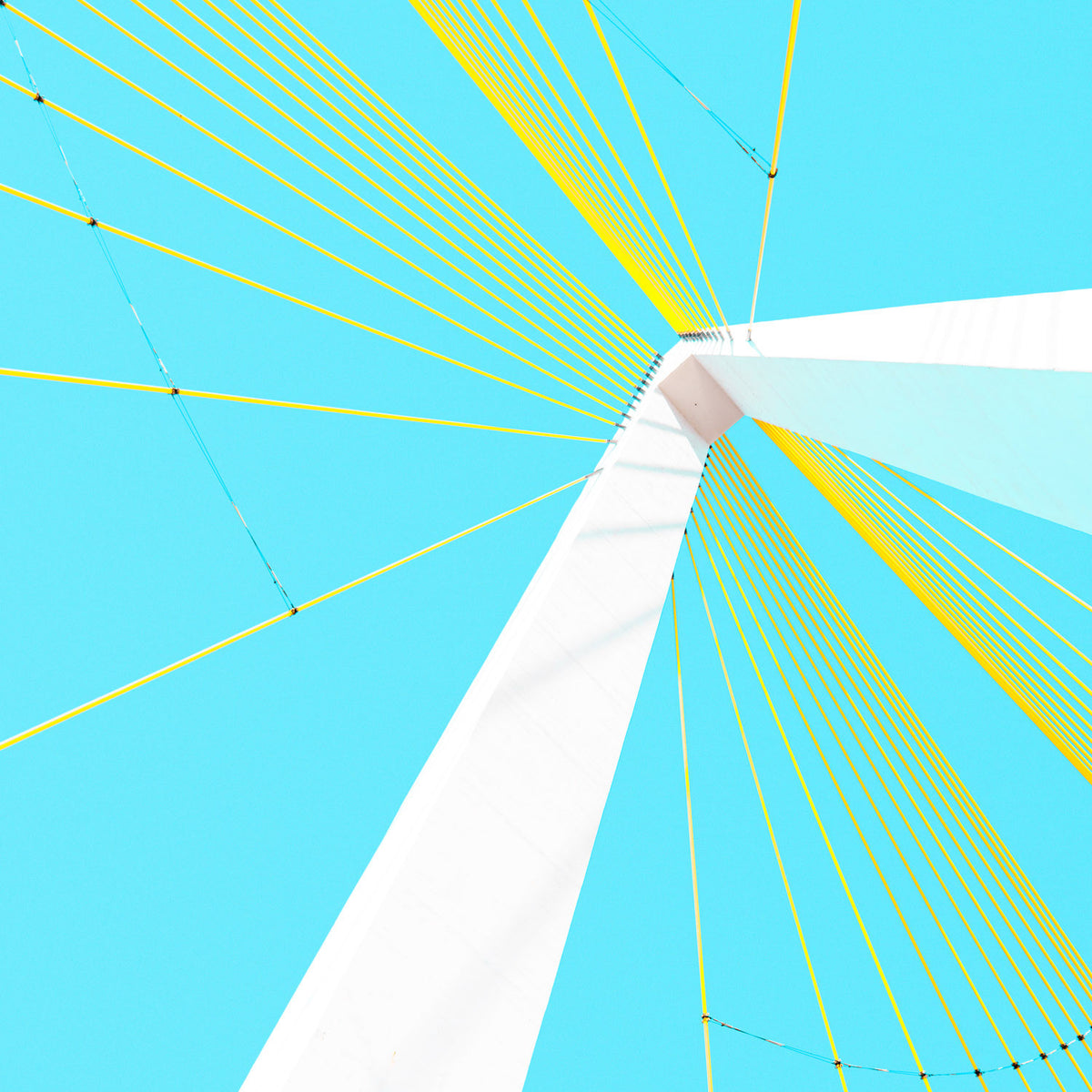 Beams – Matt Crump