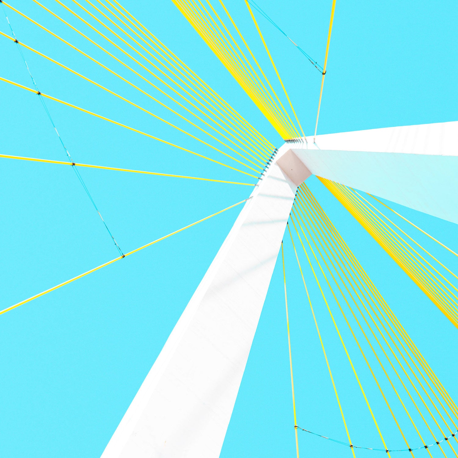 Abstract – Matt Crump