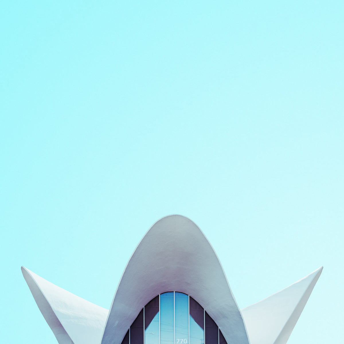 Wings – Matt Crump