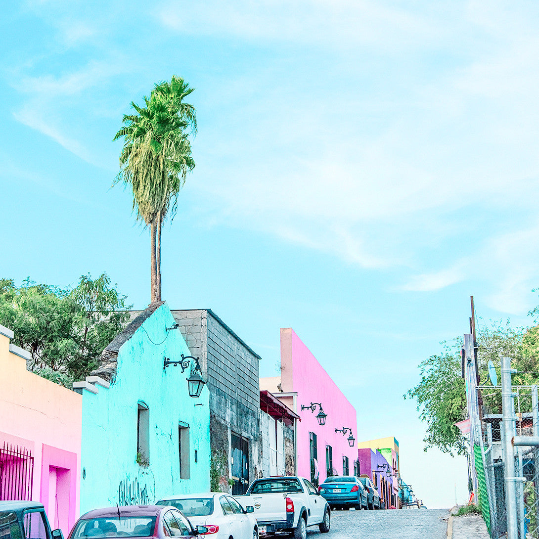 Nature – Matt Crump