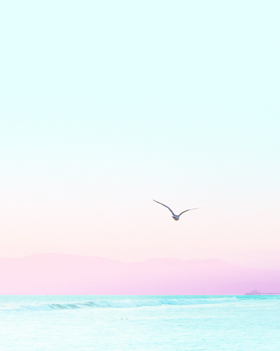 Sunset in Santa Monica – Matt Crump