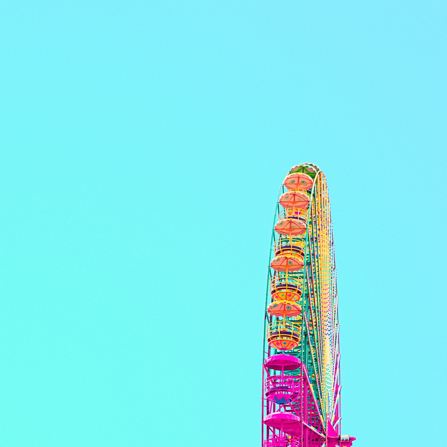 Profile – Matt Crump