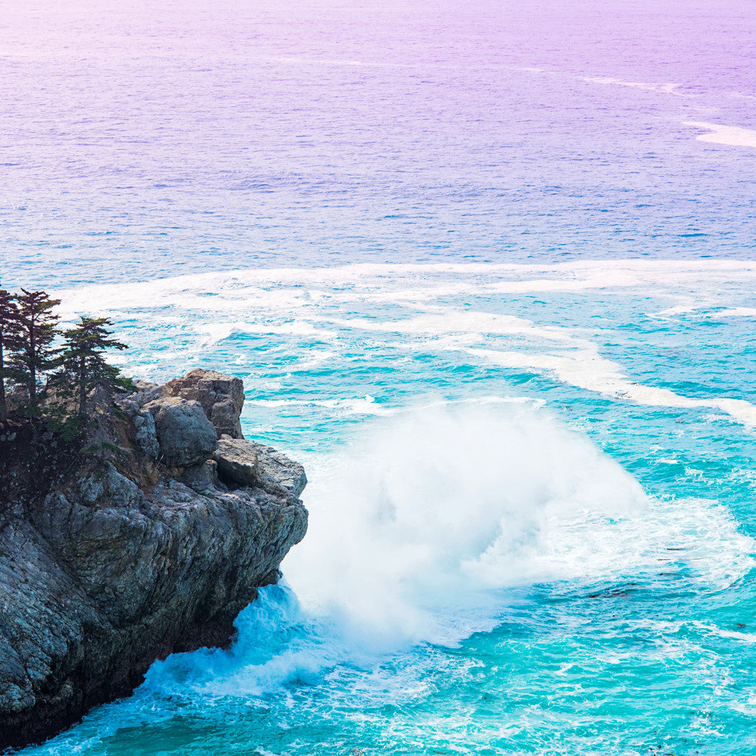 Splash – Matt Crump