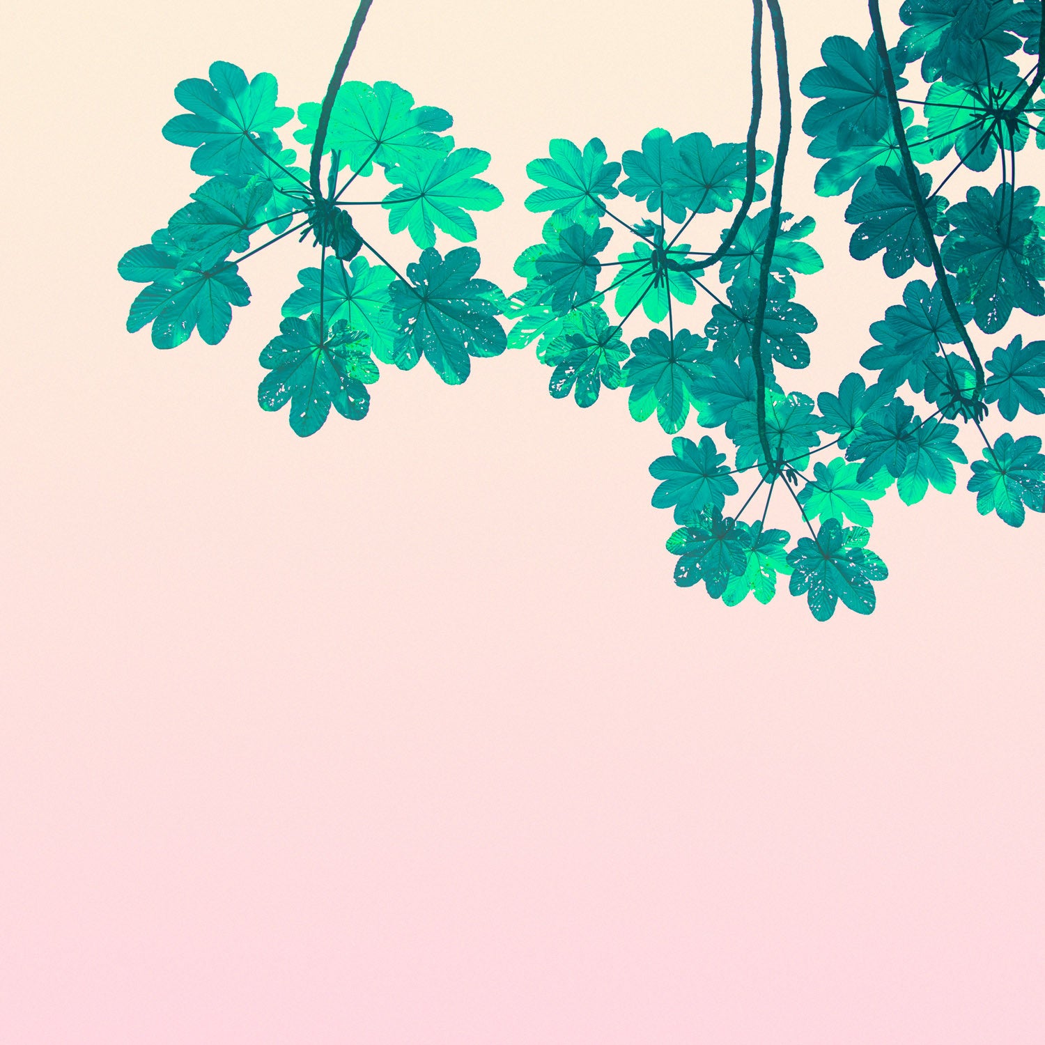 Nature – Matt Crump